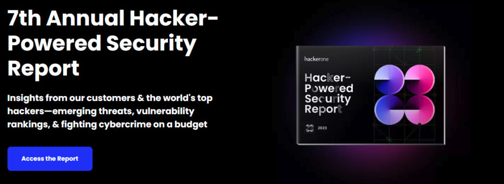 How to Get Started Learning Bug Bounty Hunting in 2024 - Cyber Helmets