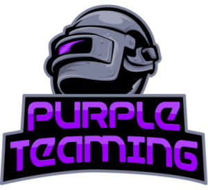 CWEE - Cyber Helmets